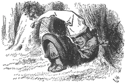 El Rey Rojo | Alicia en el País de las Maravillas Wiki | Fandom