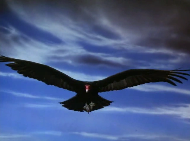 El Cuervo | Alicia en el País de las Maravillas Wiki | Fandom