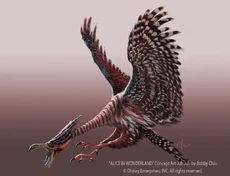 Jubjub Bird | Alice in Wonderland Wiki | Fandom