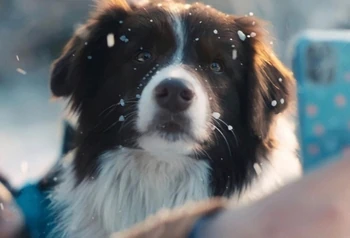 Nellie Nelson | Alice Oseman Universe Wiki | Fandom