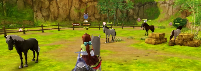 Alicia Online Wiki | Fandom