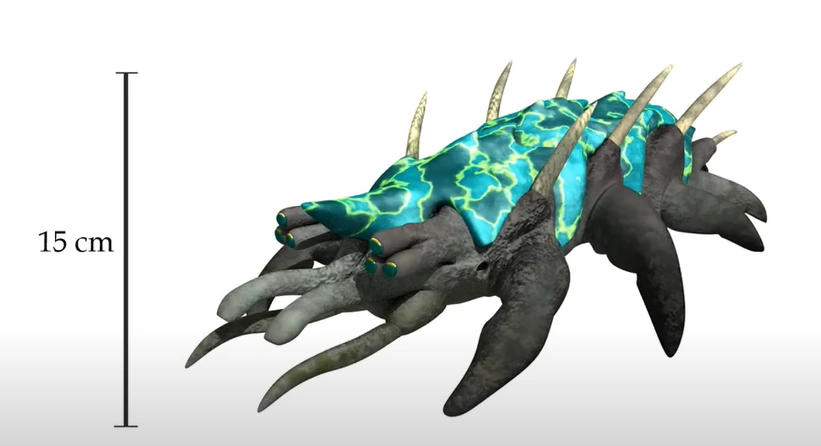 Phylactocanthidae | Alien Biospheres - Biblaridion Wiki | Fandom