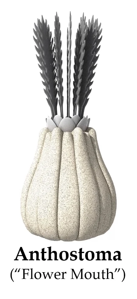 Anthostoma | Alien Biospheres - Biblaridion Wiki | Fandom