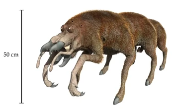 Dryptognatha | Alien Biospheres - Biblaridion Wiki | Fandom