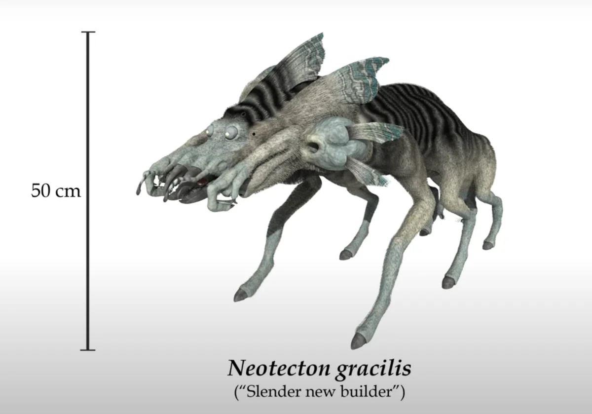 Neotecton gracilis | Alien Biospheres - Biblaridion Wiki | Fandom