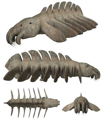 Remipterida | Alien Biospheres - Biblaridion Wiki | Fandom