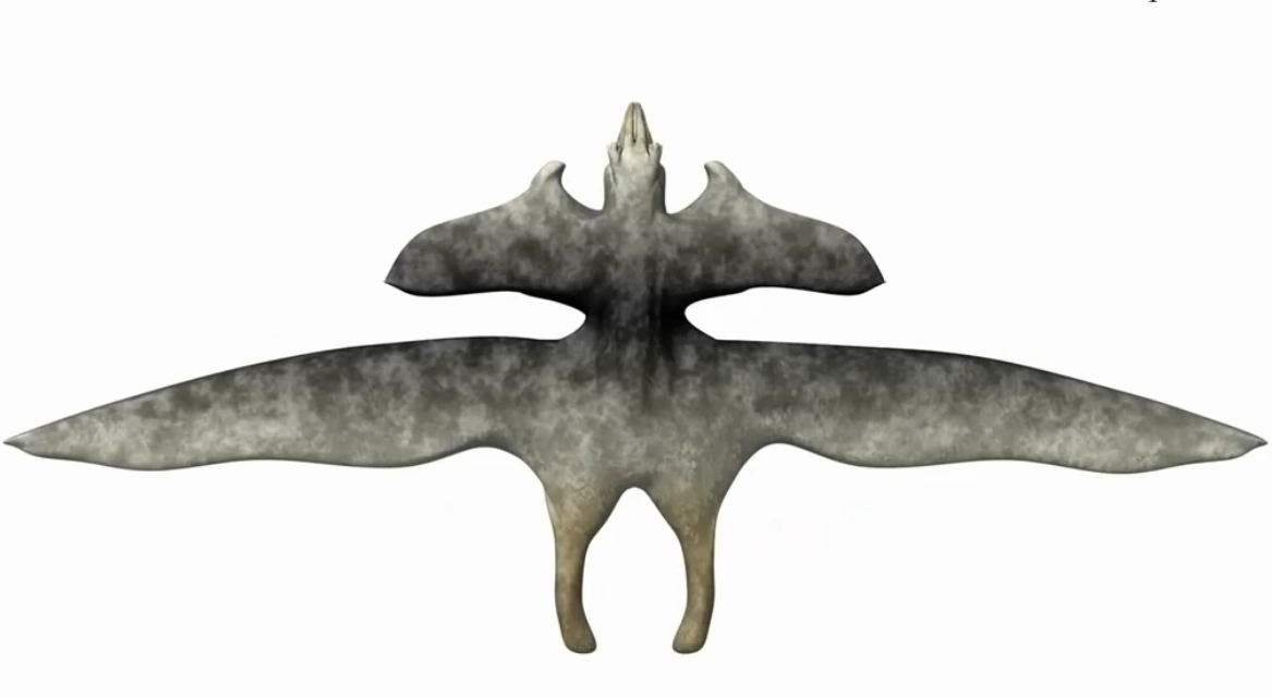 Magnoptera | Alien Biospheres - Biblaridion Wiki | Fandom