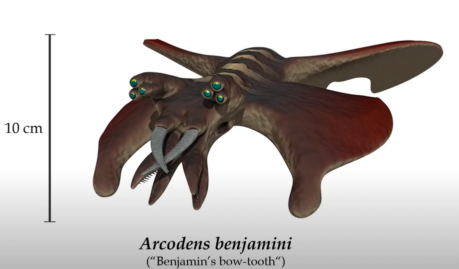 Pipiodontia | Alien Biospheres - Biblaridion Wiki | Fandom