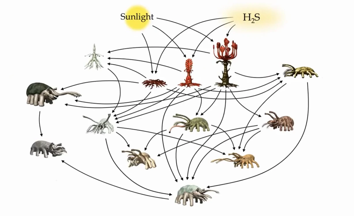 Primitive Forest | Alien Biospheres - Biblaridion Wiki | Fandom