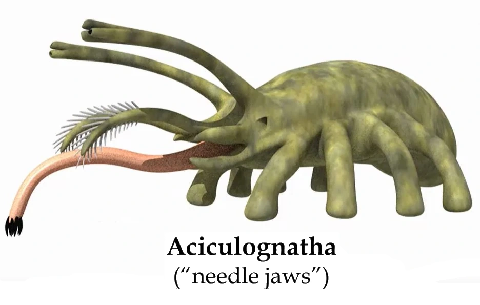 Aciculognatha | Alien Biospheres - Biblaridion Wiki | Fandom