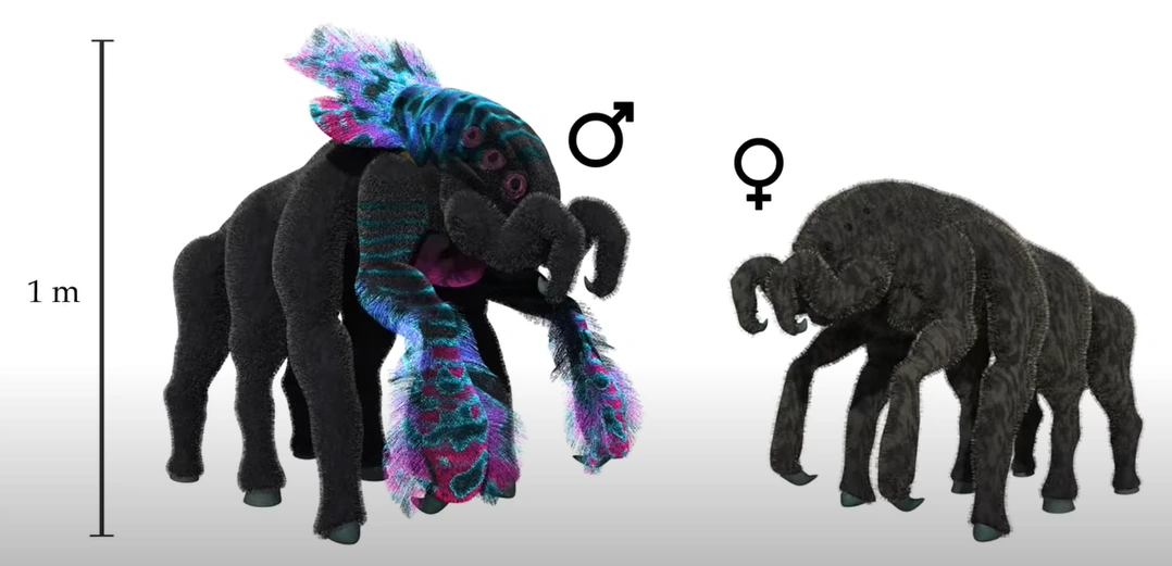 Camarabrachidae | Alien Biospheres - Biblaridion Wiki | Fandom