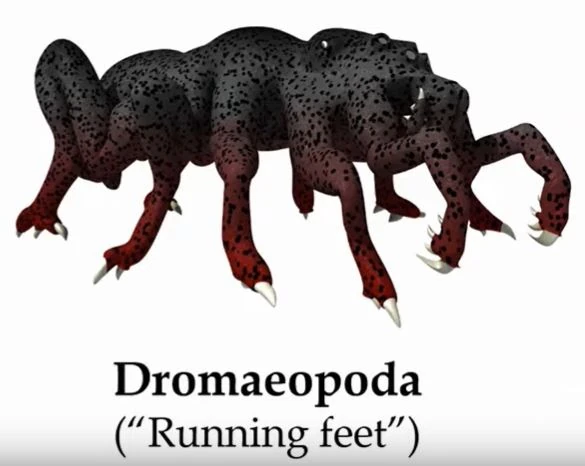 Archedromaepoda | Alien Biospheres - Biblaridion Wiki | Fandom