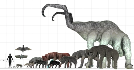 Size comparisons | Alien Biospheres - Biblaridion Wiki | Fandom