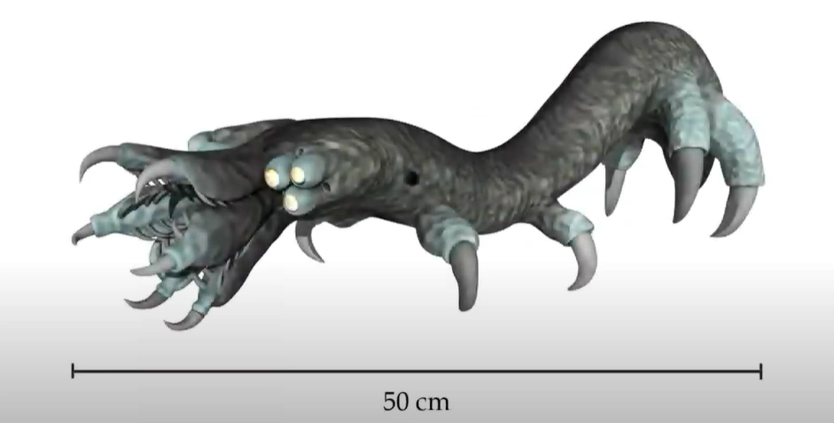 Trypophora | Alien Biospheres - Biblaridion Wiki | Fandom