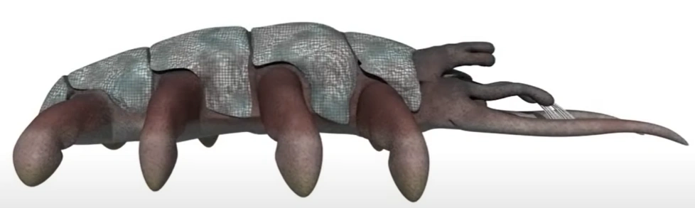 Eudolichostracidae | Alien Biospheres - Biblaridion Wiki | Fandom