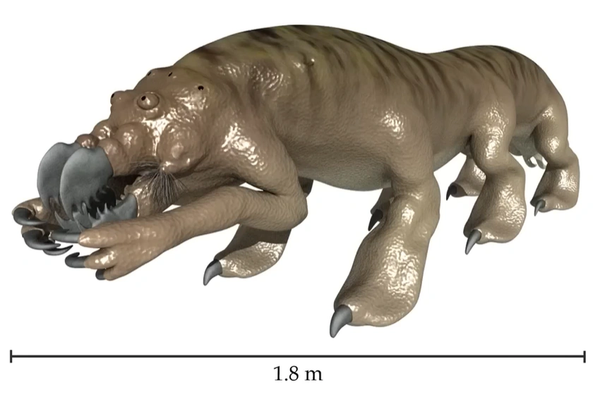 Gyrinotheria | Alien Biospheres - Biblaridion Wiki | Fandom
