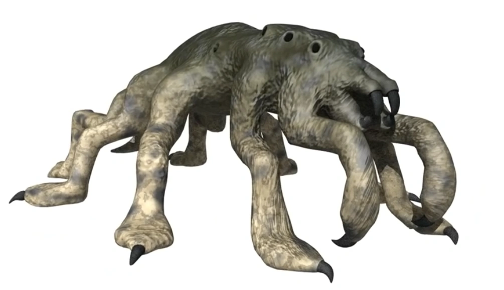 Copetarsi | Alien Biospheres - Biblaridion Wiki | Fandom