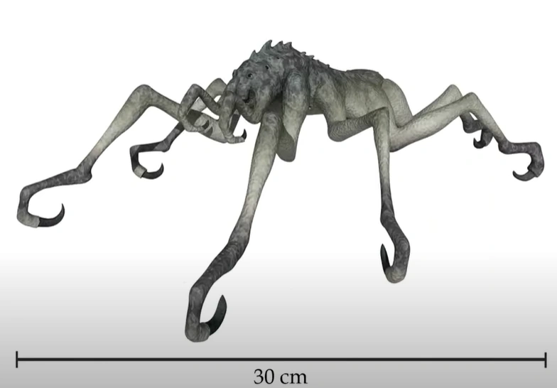 Pholcoscelida | Alien Biospheres - Biblaridion Wiki | Fandom