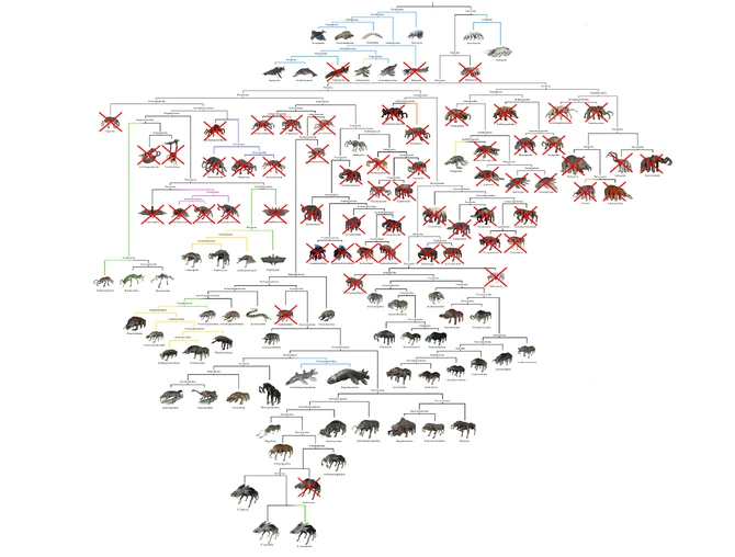 Alien Biospheres - Biblaridion Wiki | Fandom