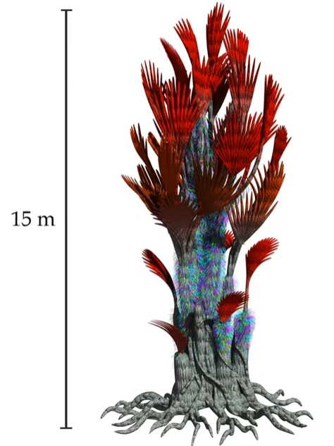 Zygodendrales | Alien Biospheres - Biblaridion Wiki | Fandom