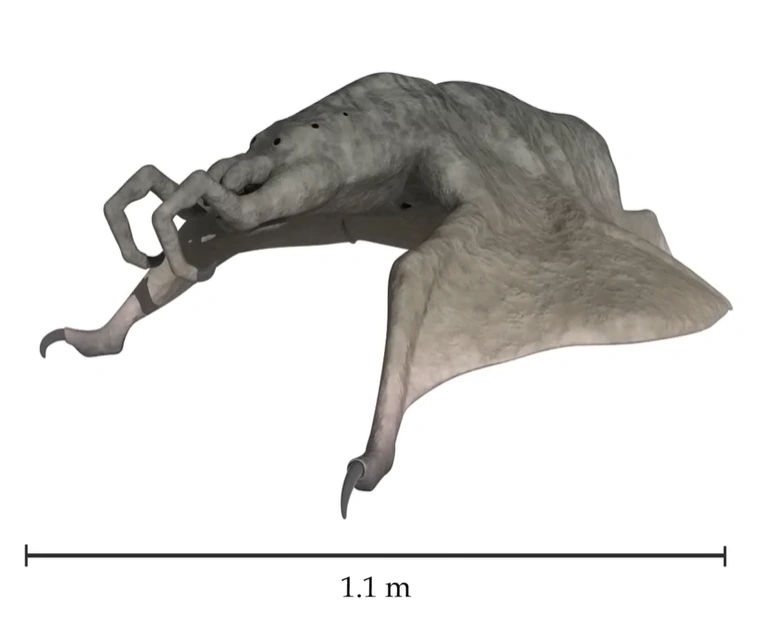 Dermatopoda | Alien Biospheres - Biblaridion Wiki | Fandom