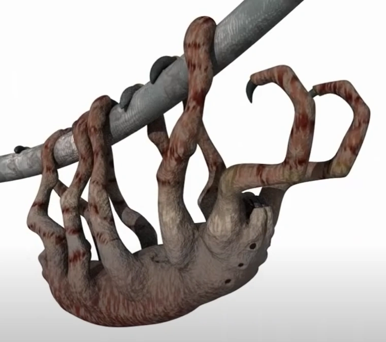 Harpactopoda | Alien Biospheres - Biblaridion Wiki | Fandom