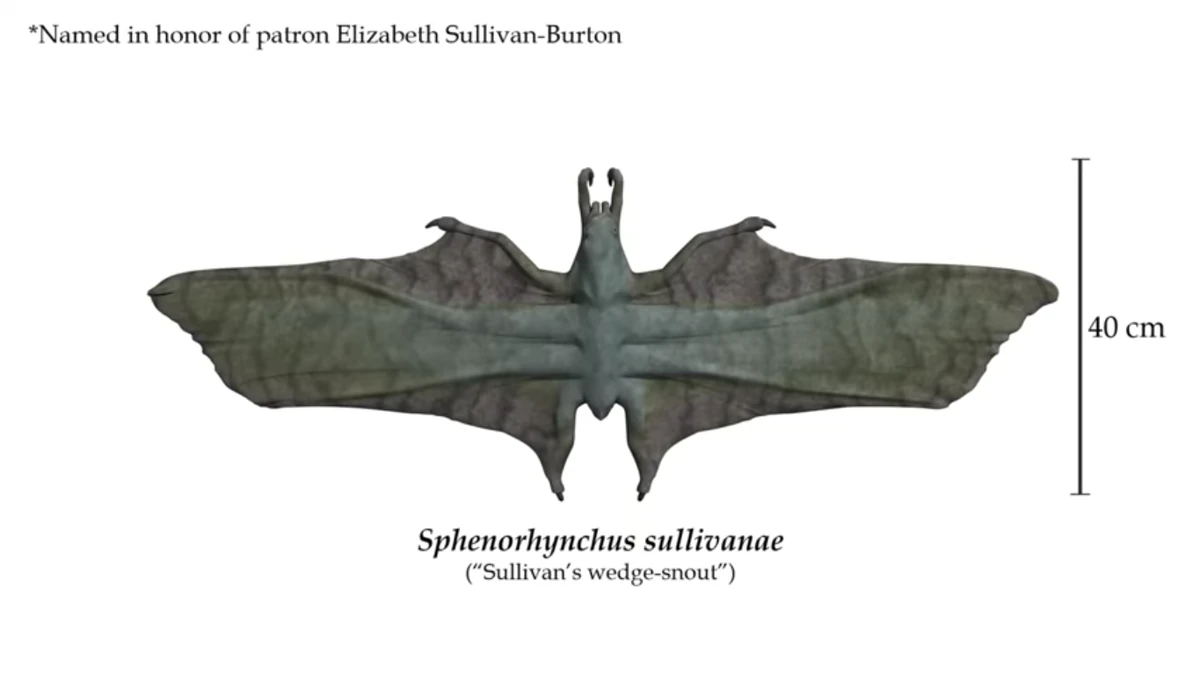 Platyptera | Alien Biospheres - Biblaridion Wiki | Fandom