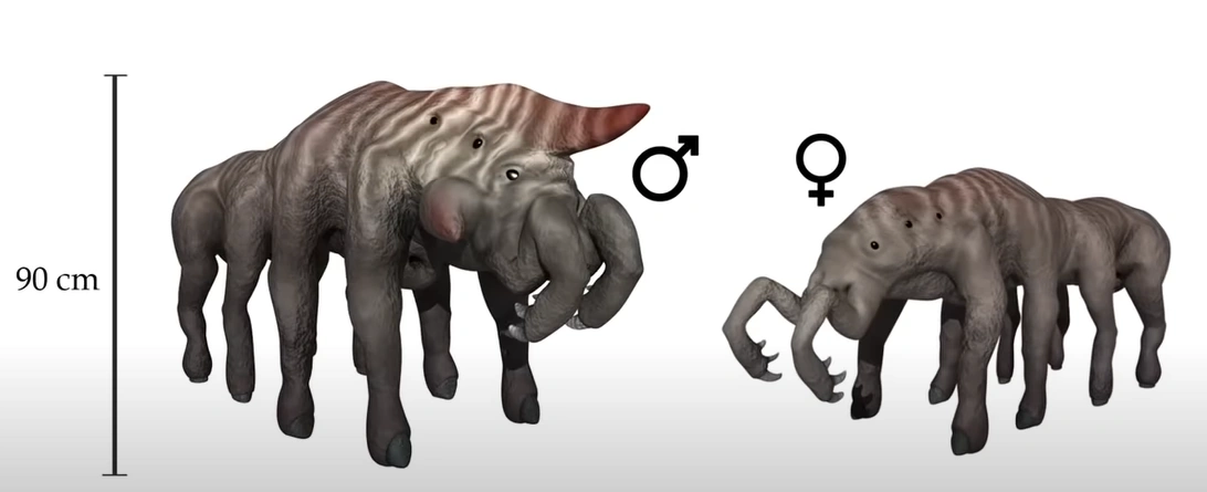 Sphenocerata | Alien Biospheres - Biblaridion Wiki | Fandom