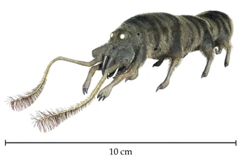 Flagellifera | Alien Biospheres - Biblaridion Wiki | Fandom