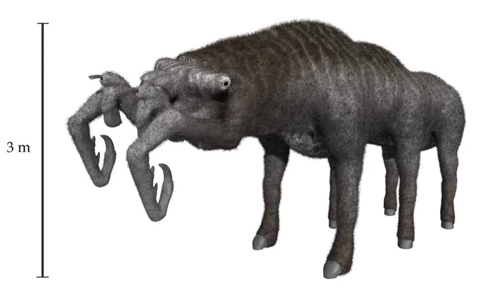 Teleopsidae | Alien Biospheres - Biblaridion Wiki | Fandom