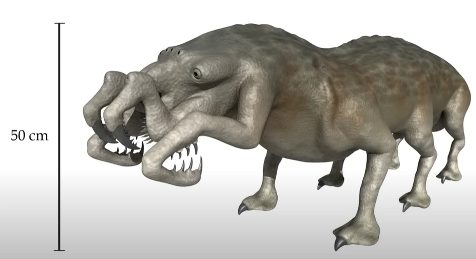 Ankistrobrachidae | Alien Biospheres - Biblaridion Wiki | Fandom