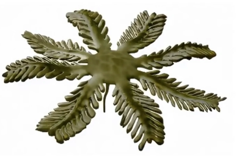 Asterophychoidea | Alien Biospheres - Biblaridion Wiki | Fandom