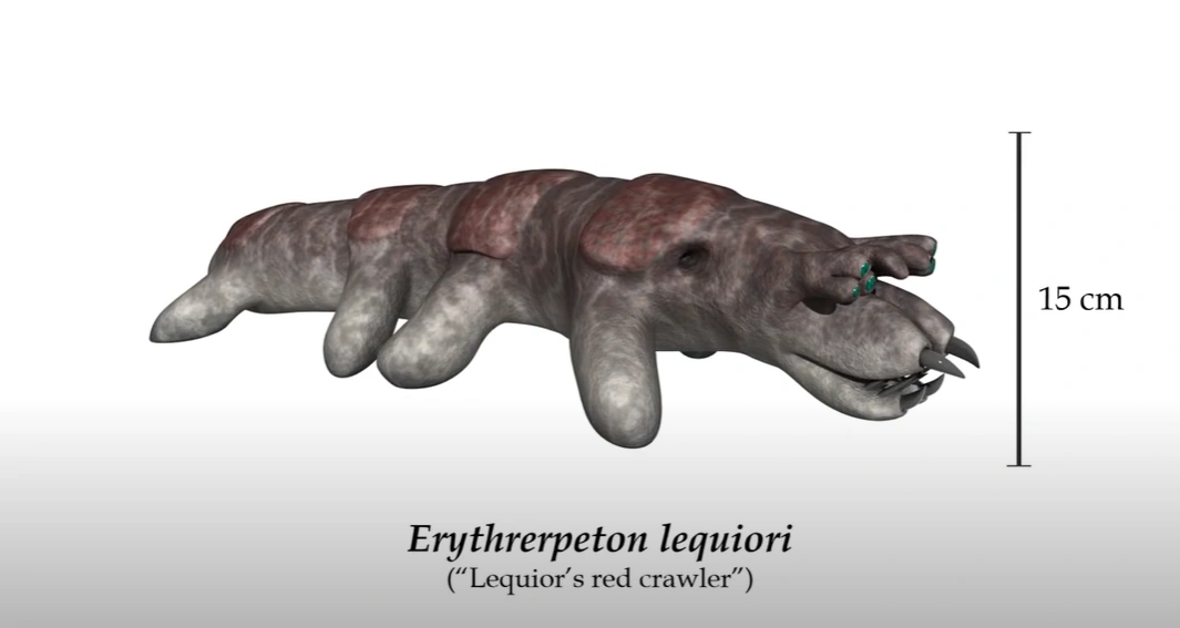 Campylospondyli | Alien Biospheres - Biblaridion Wiki | Fandom