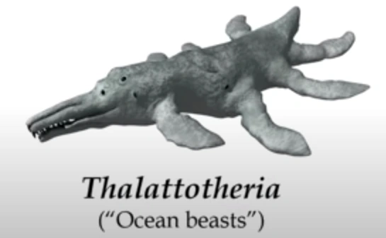 Thalattotheria | Alien Biospheres - Biblaridion Wiki | Fandom