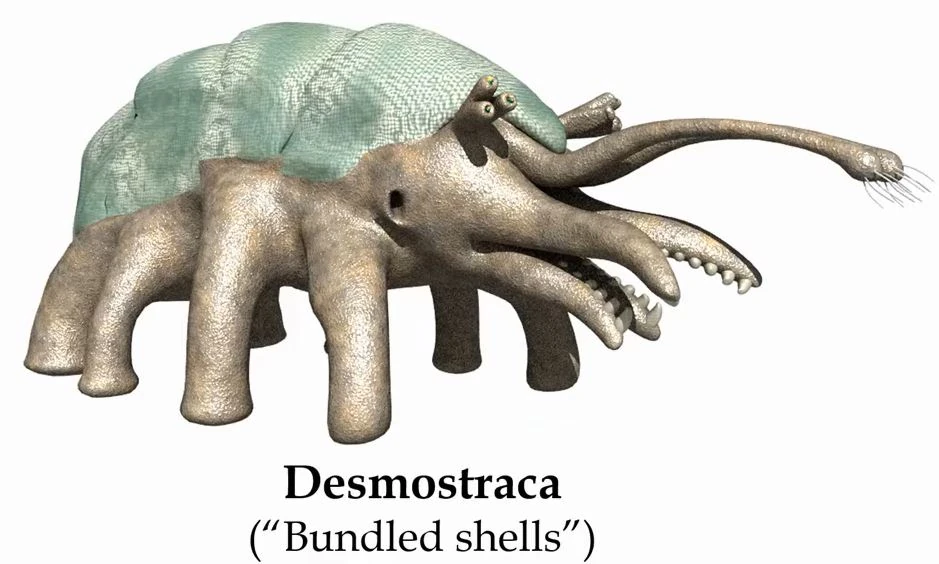 Desmostraca | Alien Biospheres - Biblaridion Wiki | Fandom
