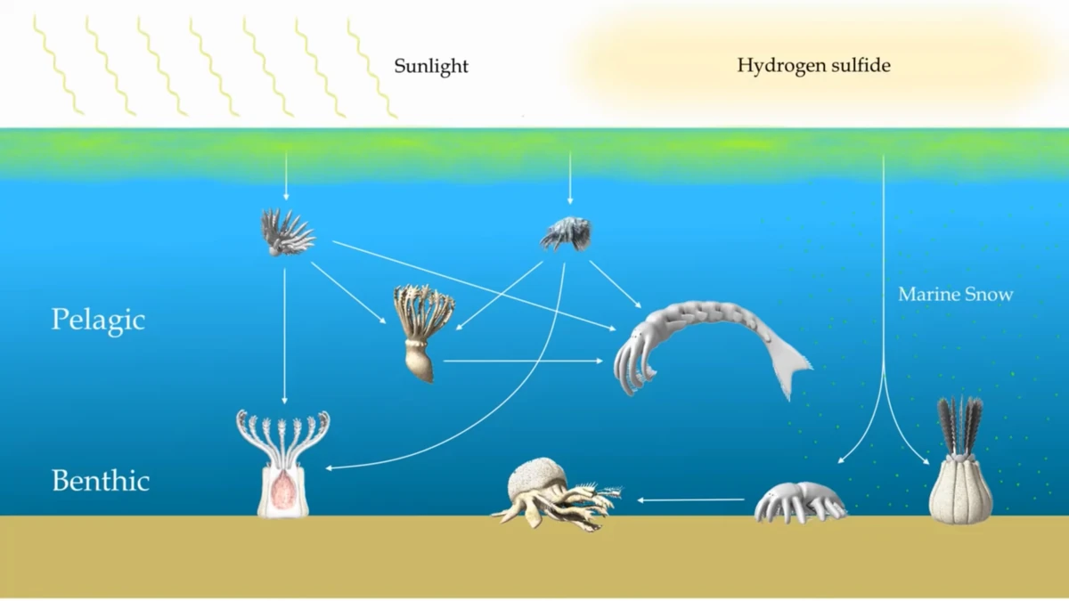 First Marine Ecosystem | Alien Biospheres - Biblaridion Wiki | Fandom