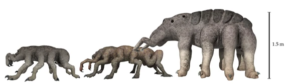 Size comparisons | Alien Biospheres - Biblaridion Wiki | Fandom