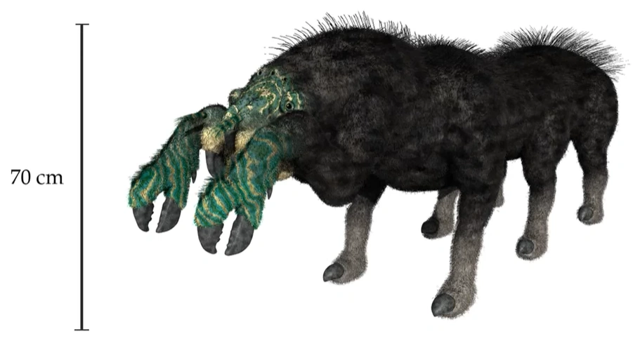 Pachychelaphora | Alien Biospheres - Biblaridion Wiki | Fandom