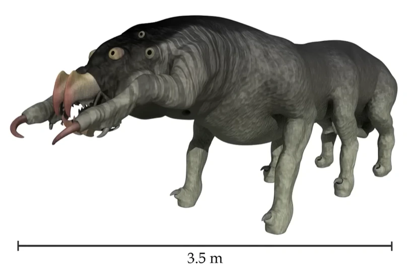 Archonychidae | Alien Biospheres - Biblaridion Wiki | Fandom
