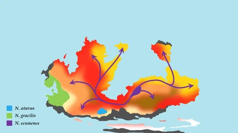 Neotecton atavus | Alien Biospheres - Biblaridion Wiki | Fandom