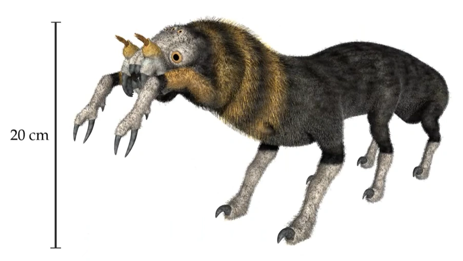 Stenochelaphora | Alien Biospheres - Biblaridion Wiki | Fandom