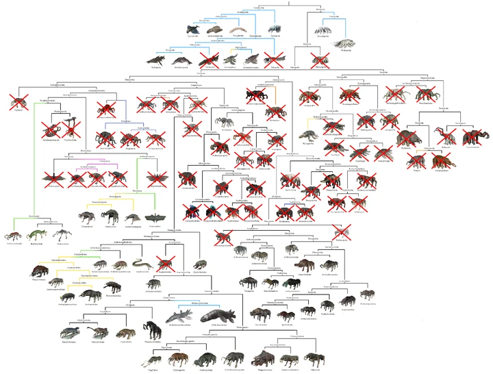 Polypodia | Alien Biospheres - Biblaridion Wiki | Fandom