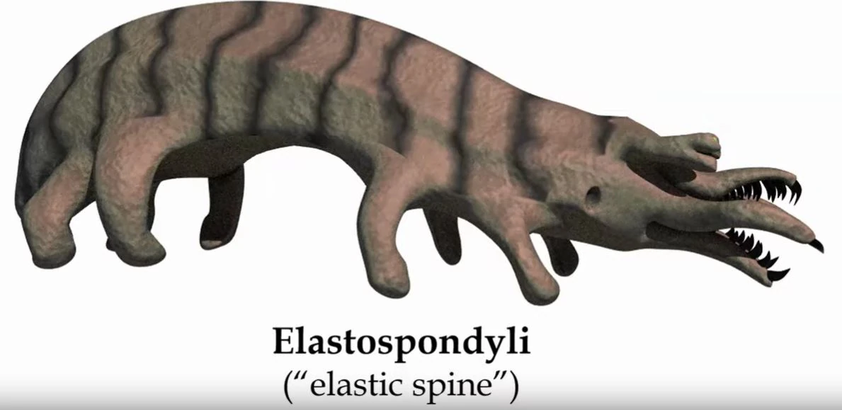 Elastospondyli | Alien Biospheres - Biblaridion Wiki | Fandom