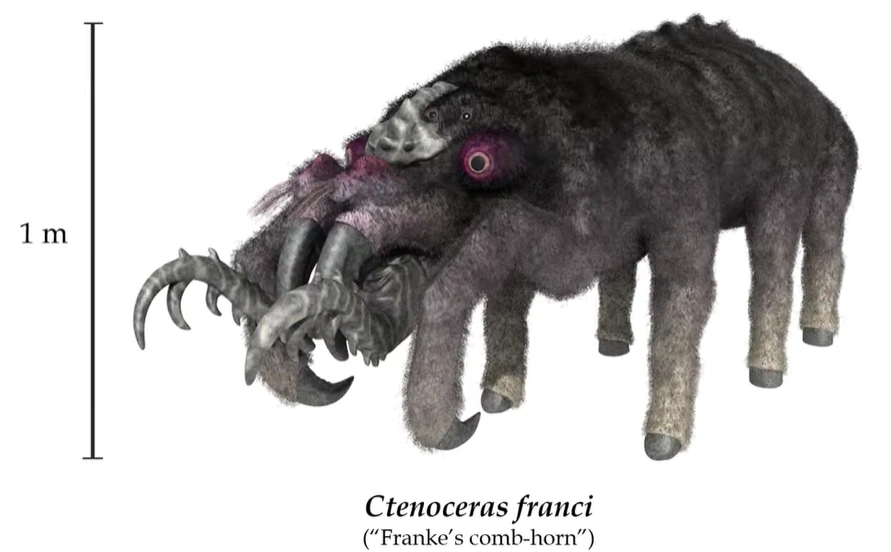 Aratrodontia | Alien Biospheres - Biblaridion Wiki | Fandom