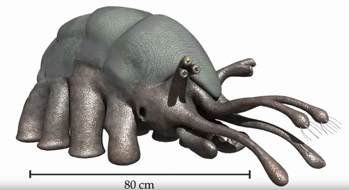 Eudesmostracidae | Alien Biospheres - Biblaridion Wiki | Fandom