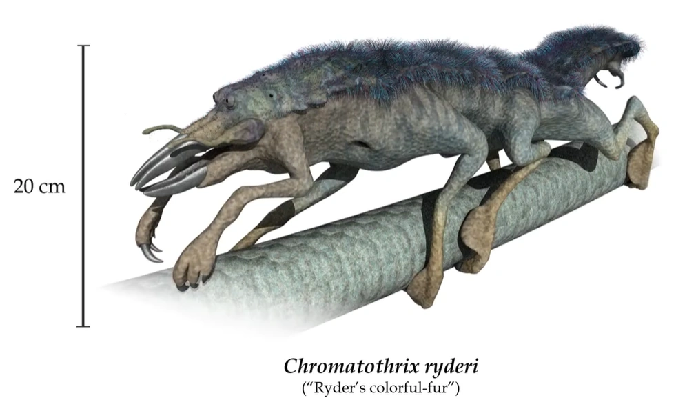 Hylotheria | Alien Biospheres - Biblaridion Wiki | Fandom