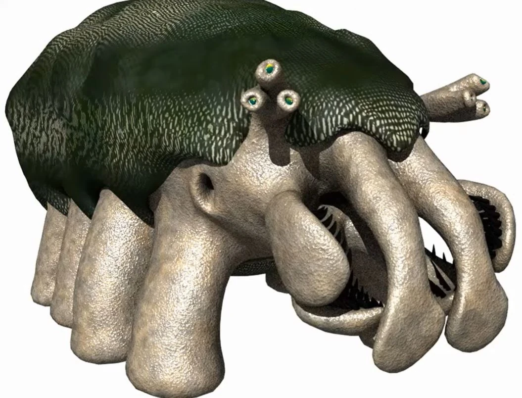 Euplacostraca | Alien Biospheres - Biblaridion Wiki | Fandom