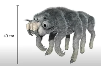 Xenopsidae | Alien Biospheres - Biblaridion Wiki | Fandom