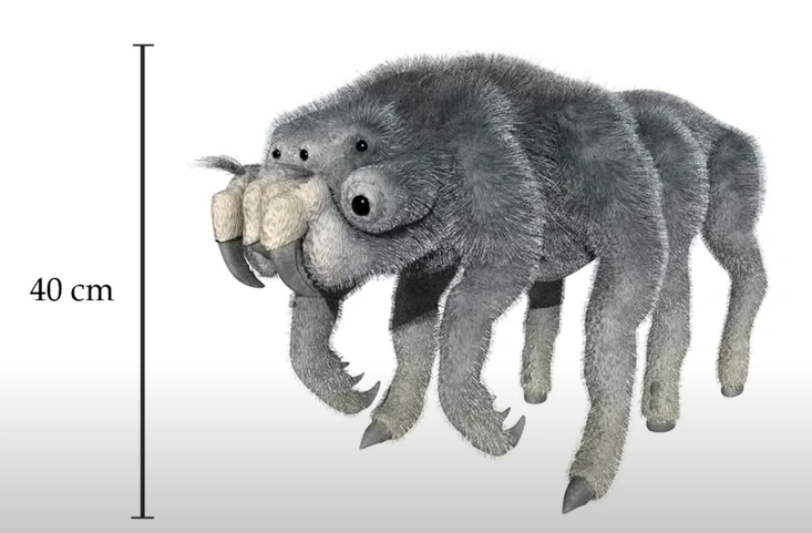 Xenopsidae | Alien Biospheres - Biblaridion Wiki | Fandom