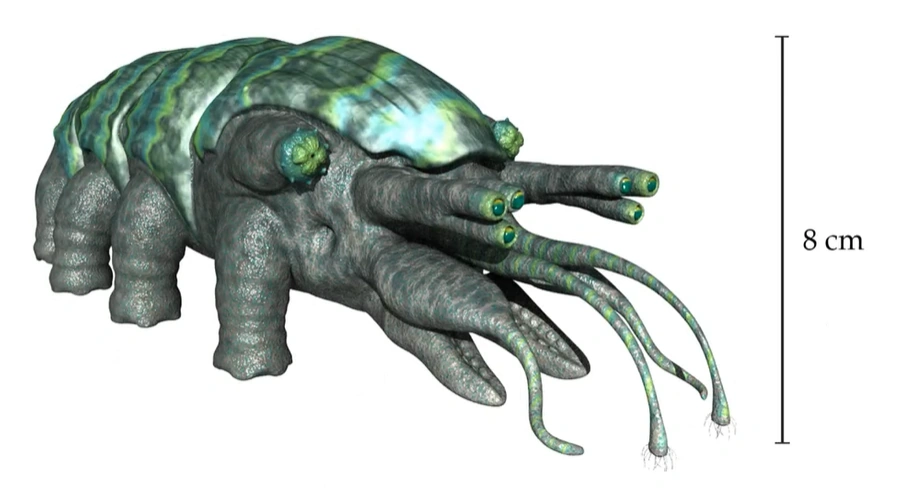 Myxobolidae | Alien Biospheres - Biblaridion Wiki | Fandom